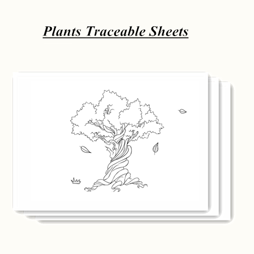 Plant – imagestoreus