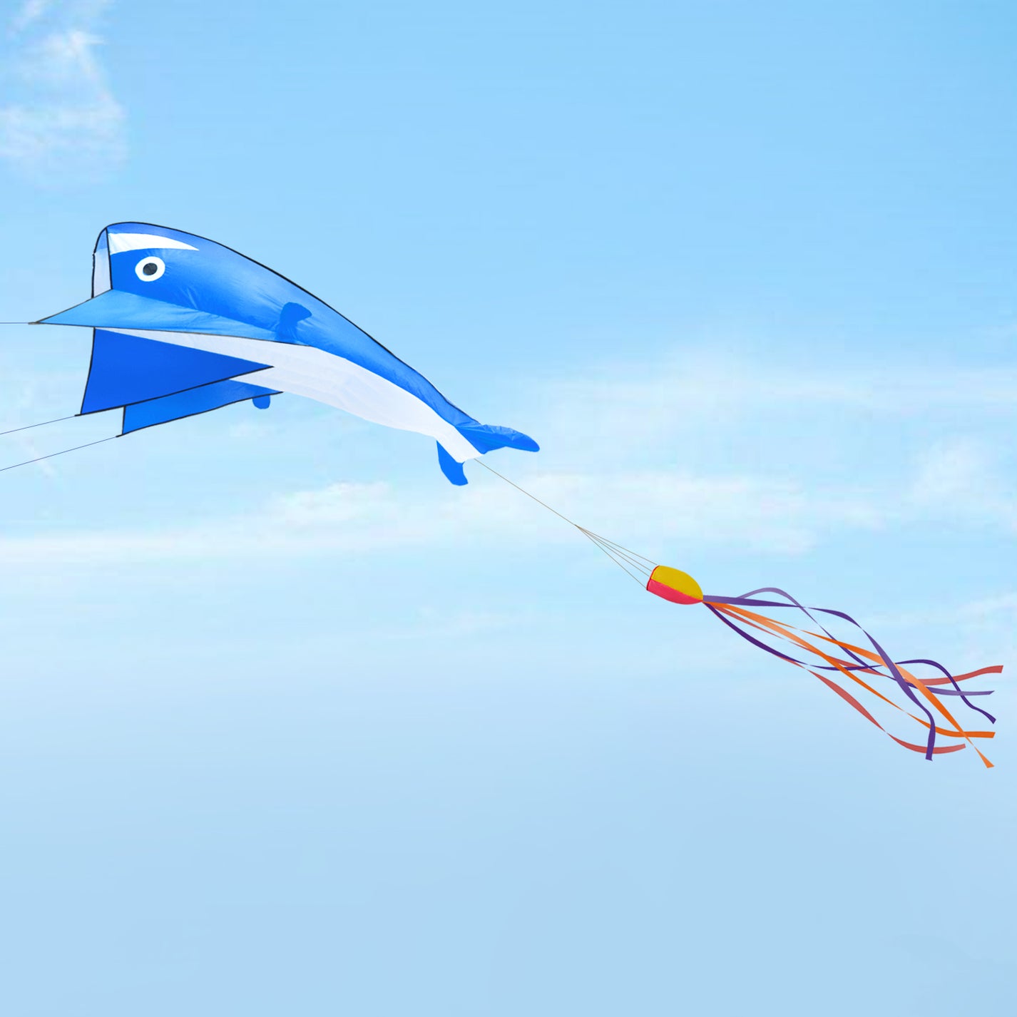 Image 3D Kite Large Blue Dolphin Breeze Beach Kites with Huge Frameles ...