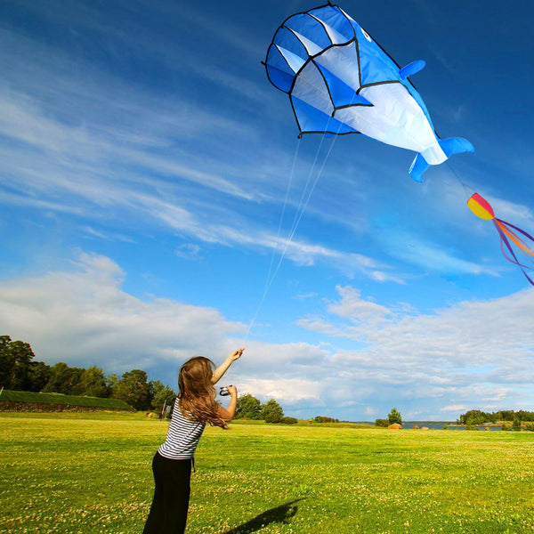 Image 3D Kite Large Blue Dolphin Breeze Beach Kites with Huge Frameles ...