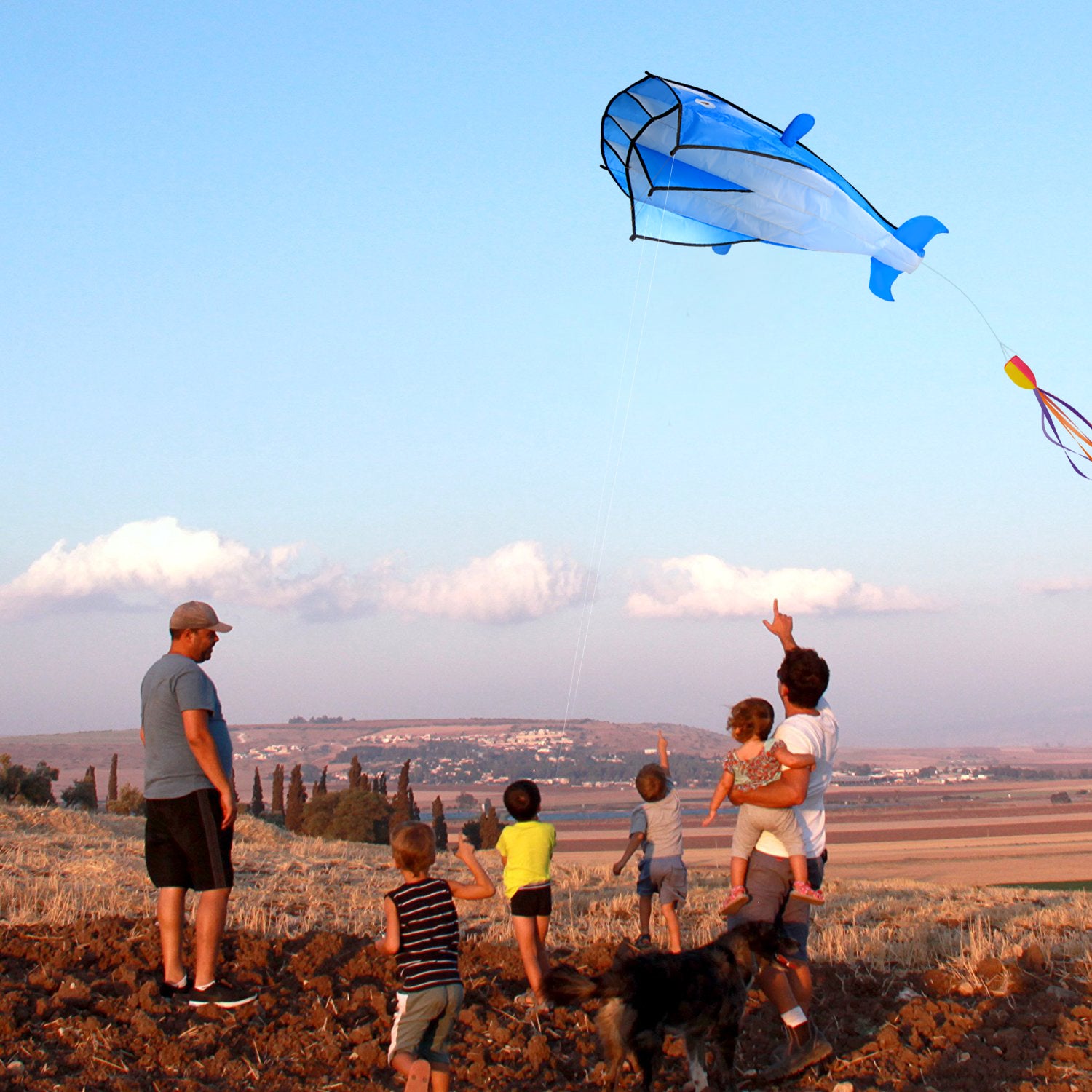 Image 3D Kite Large Blue Dolphin Breeze Beach Kites with Huge Frameles ...